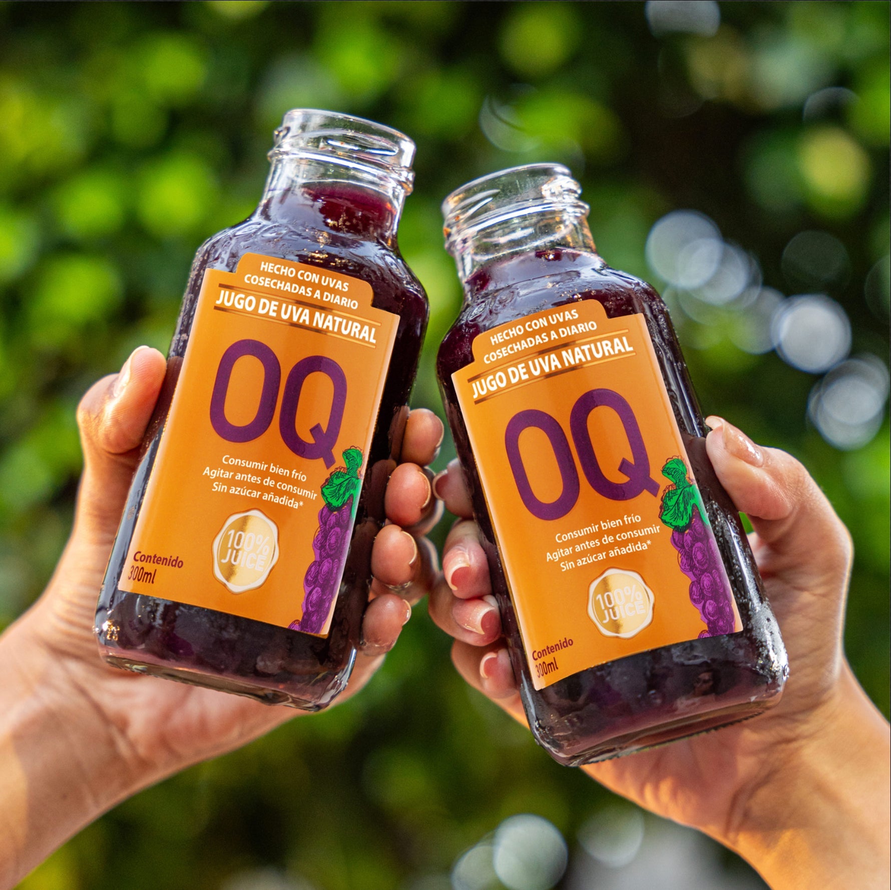 Jugo 100% Uva 300ml OQ – Aldea Nativa