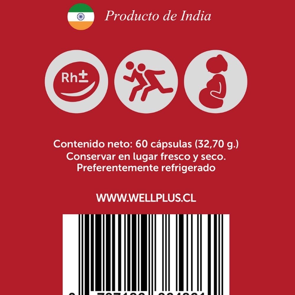 Iron Plus 60 Capsulas Wellplus – Aldea Nativa