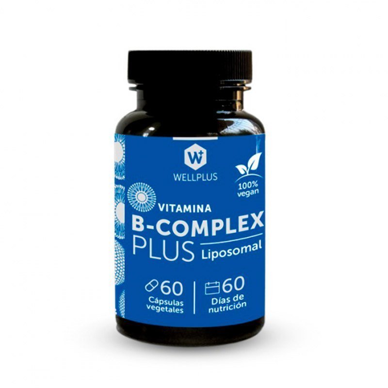 Vitamina B Complex 60 Cap Wellplus – Aldea Nativa