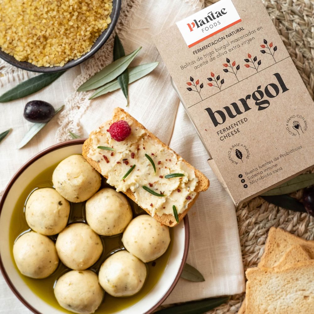 Queso Burgol Fermentado 380 Ml Plantae Foods – Aldea Nativa